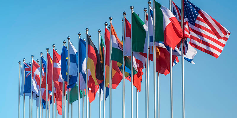 Transfer Pricing and Cross-Border Transactions