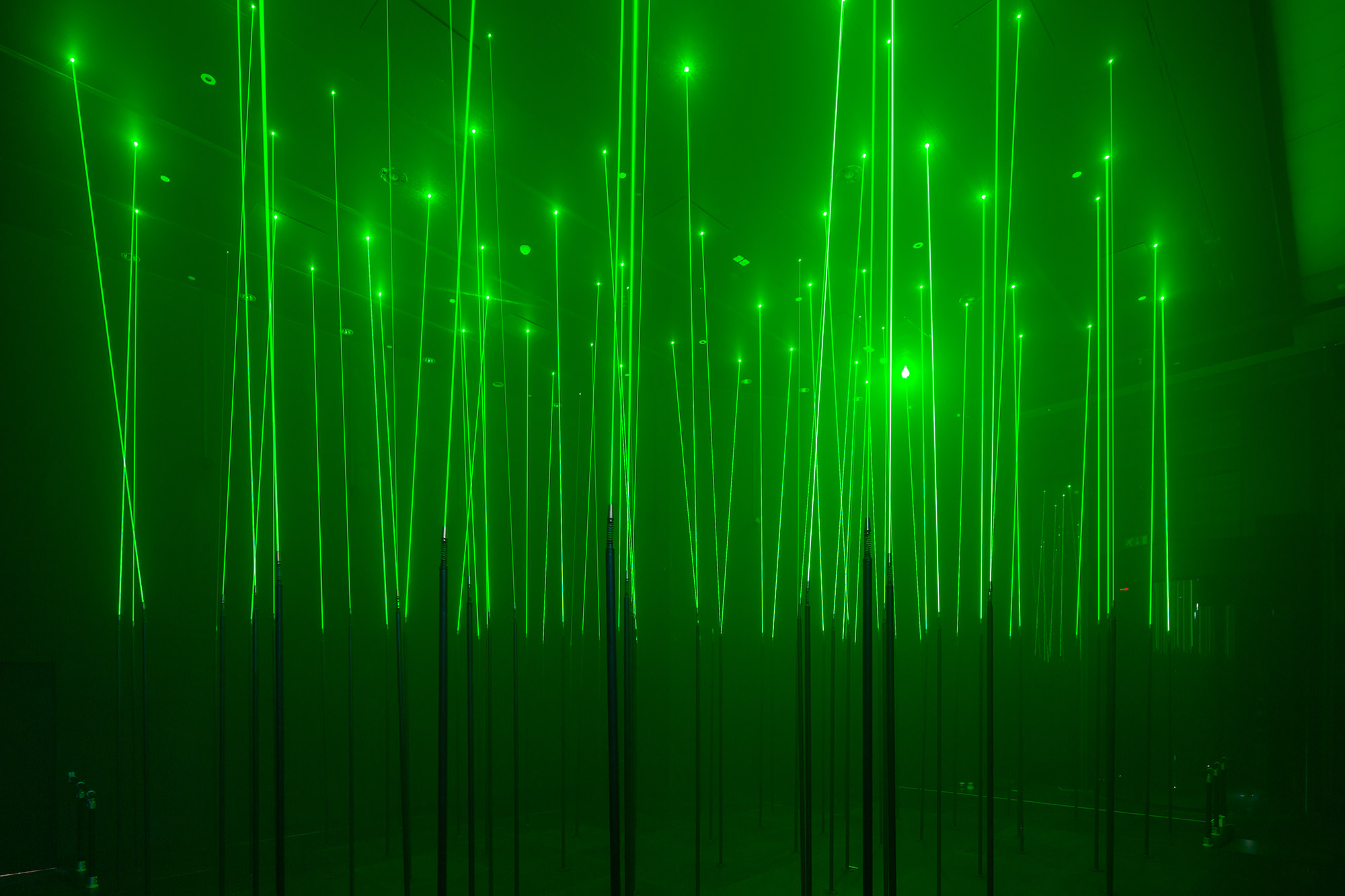 Forest - Bloomberg Space