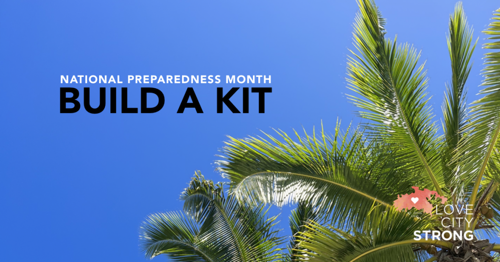 Build a Kit | Love City Strong