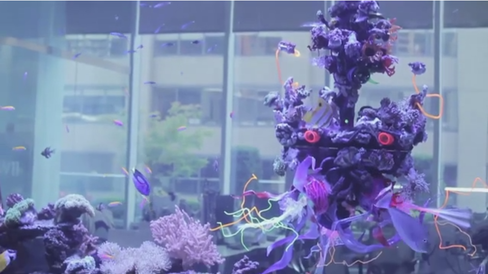 Bloomberg’s Newest Art Installation: The Aquascaping Project | Press ...
