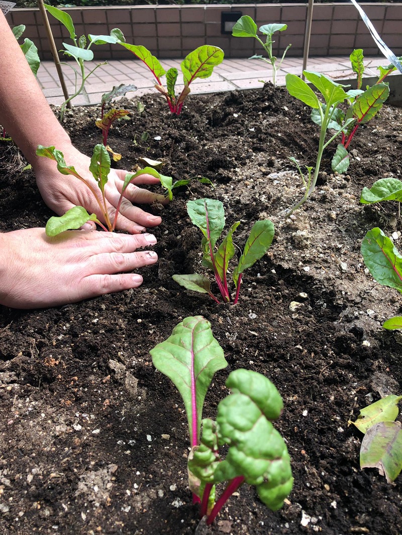 Small actions can make a big difference on climate change | Bloomberg LP