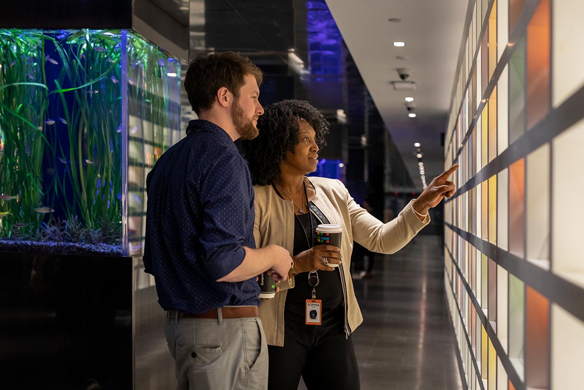 Bloomberg’s sustainable pantries – both offline and online | Bloomberg LP