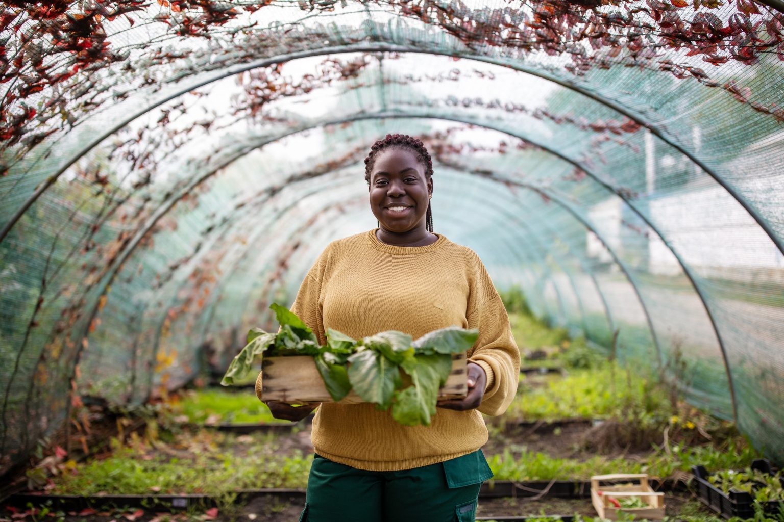 The Greenwood Initiative | Bloomberg Philanthropies