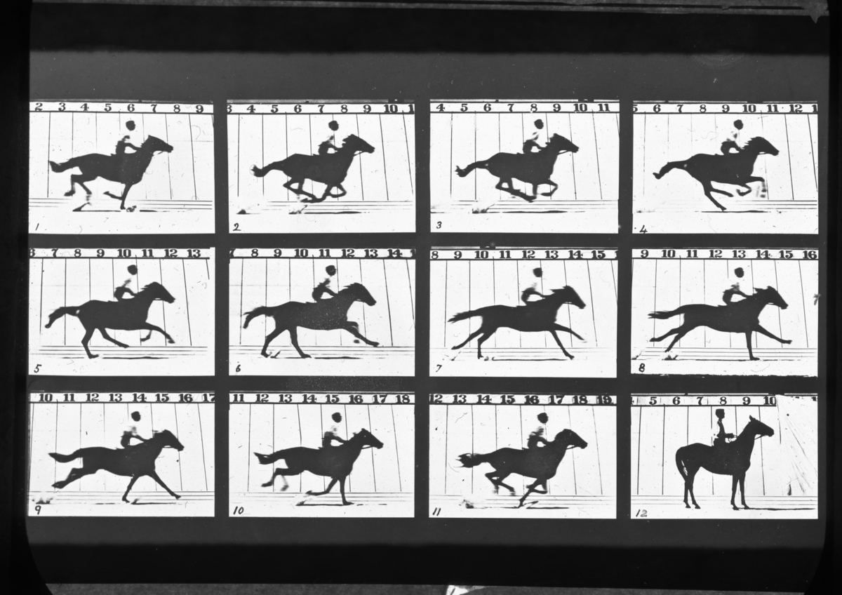 The evolution of photography: ‘Sallie Gardner’ Galloping, the Horse in ...