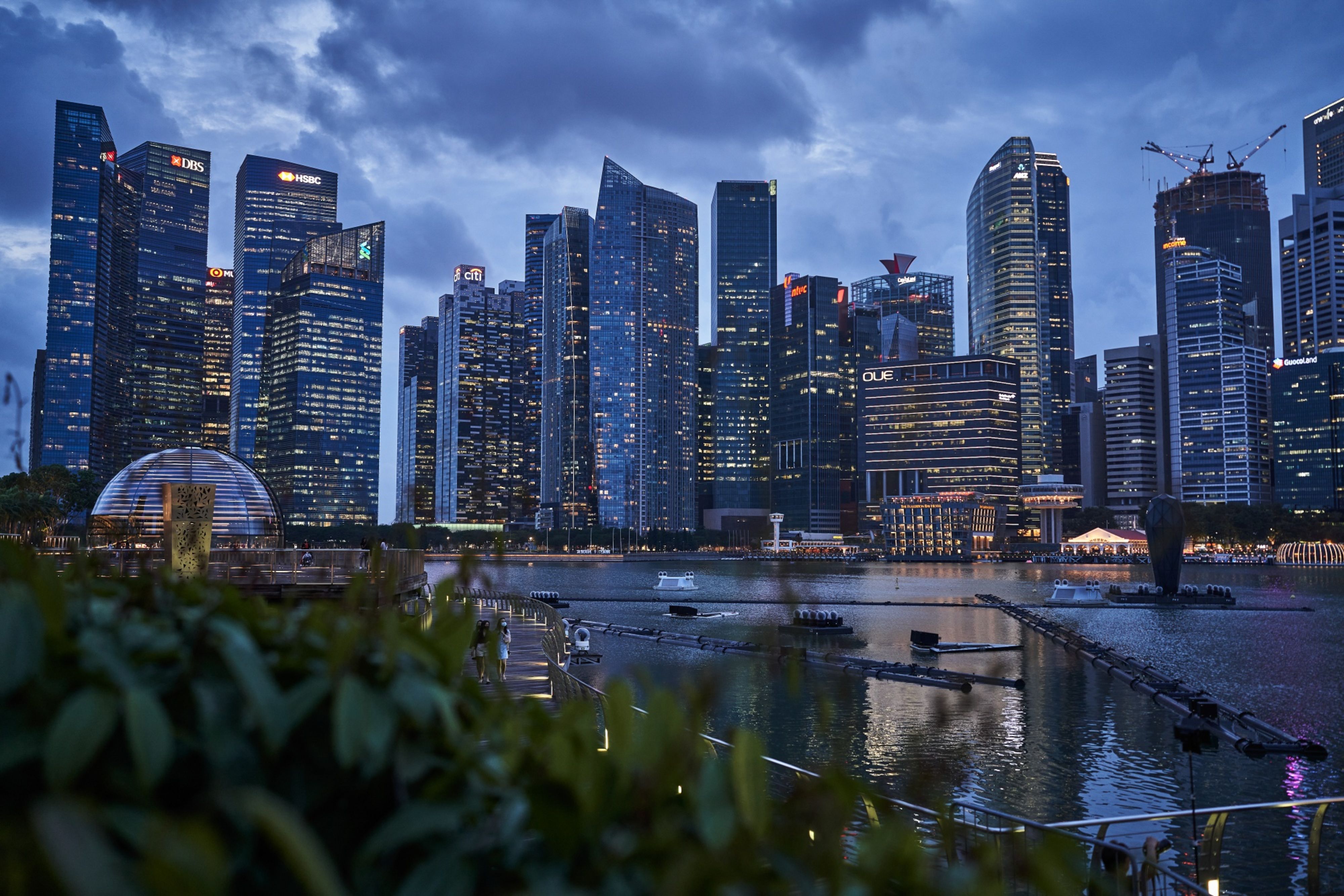 Bloomberg Family Office Guide | Insights | Bloomberg Professional Services