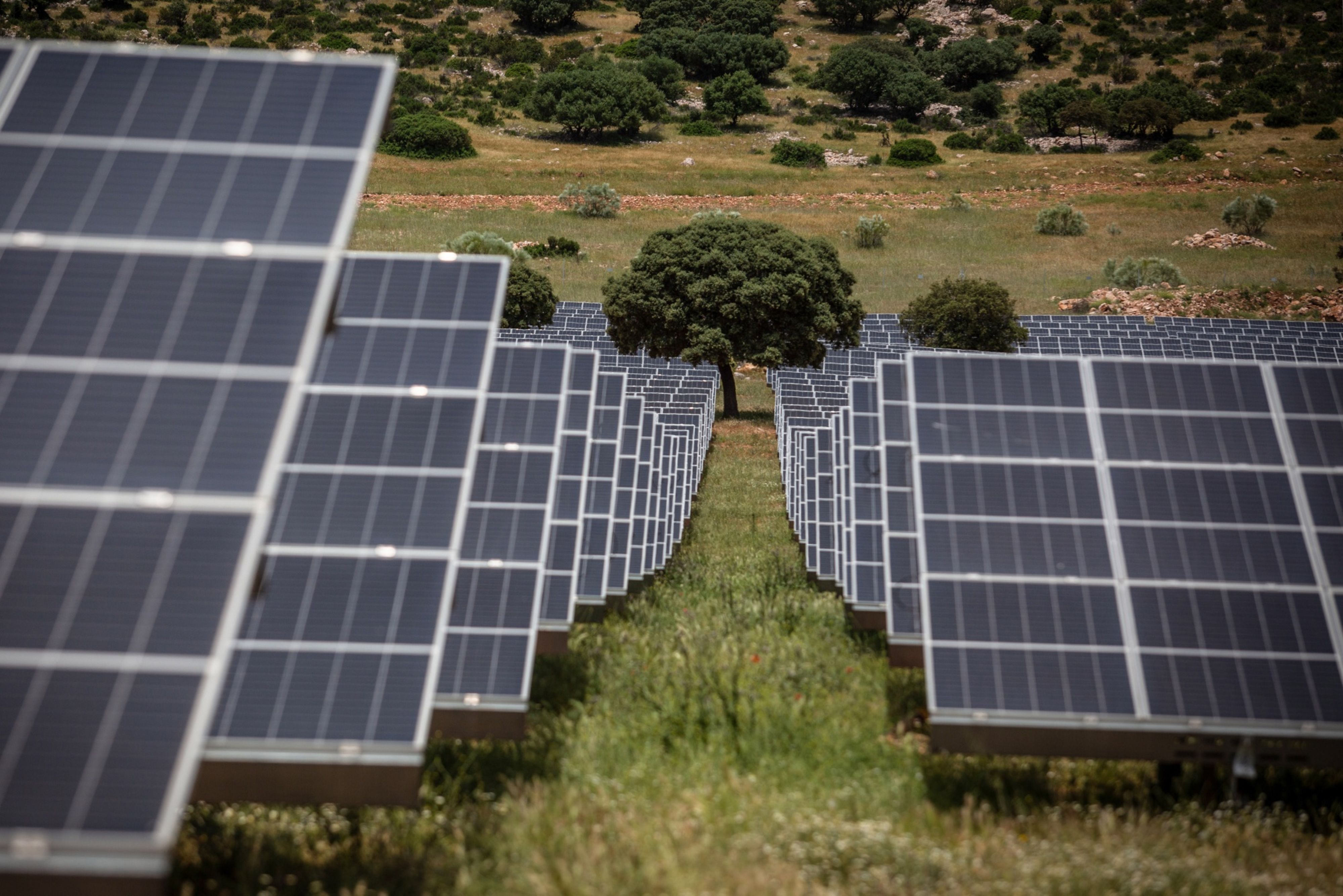 Dig deeper into clean-energy ETFs: BI Green & Taxonomy model | Insights ...