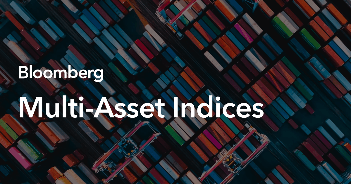 Bloomberg Multi-Asset Indices | Bloomberg Professional Services