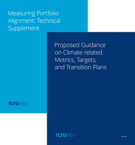 Task Force on Climate-Related Financial Disclosures | TCFD)
