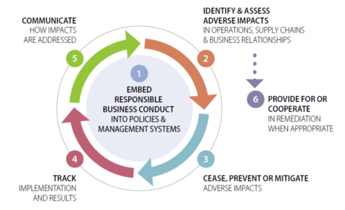 Applying the EU Taxonomy to your investments, how to start? | Insights ...