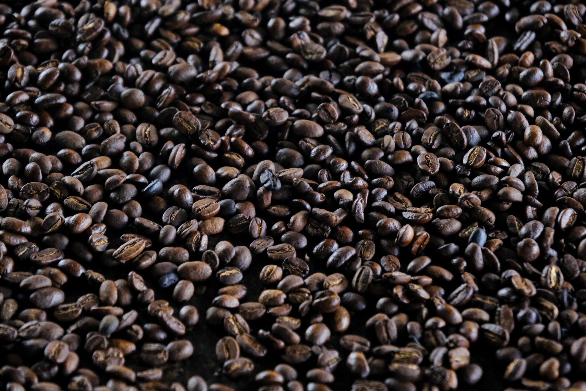 Bloomberg Commodities Indices | Bloomberg Professional Services