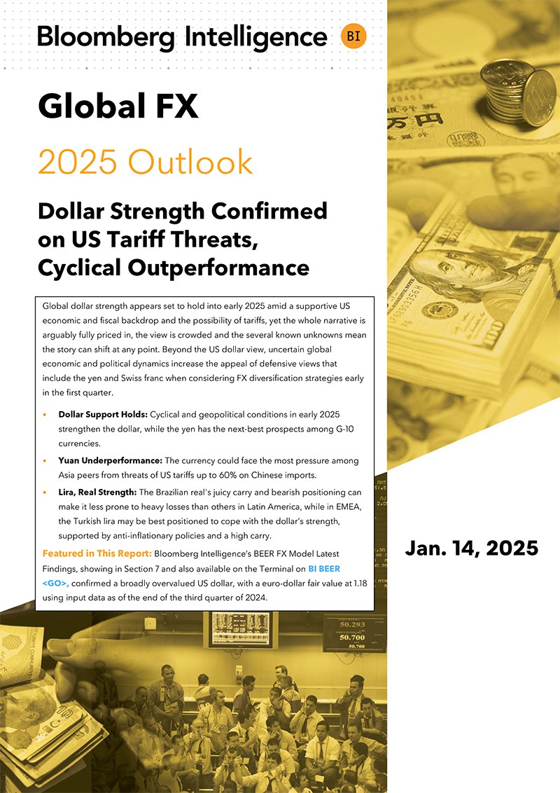 Global FX 2025 Outlook | Bloomberg Professional Services