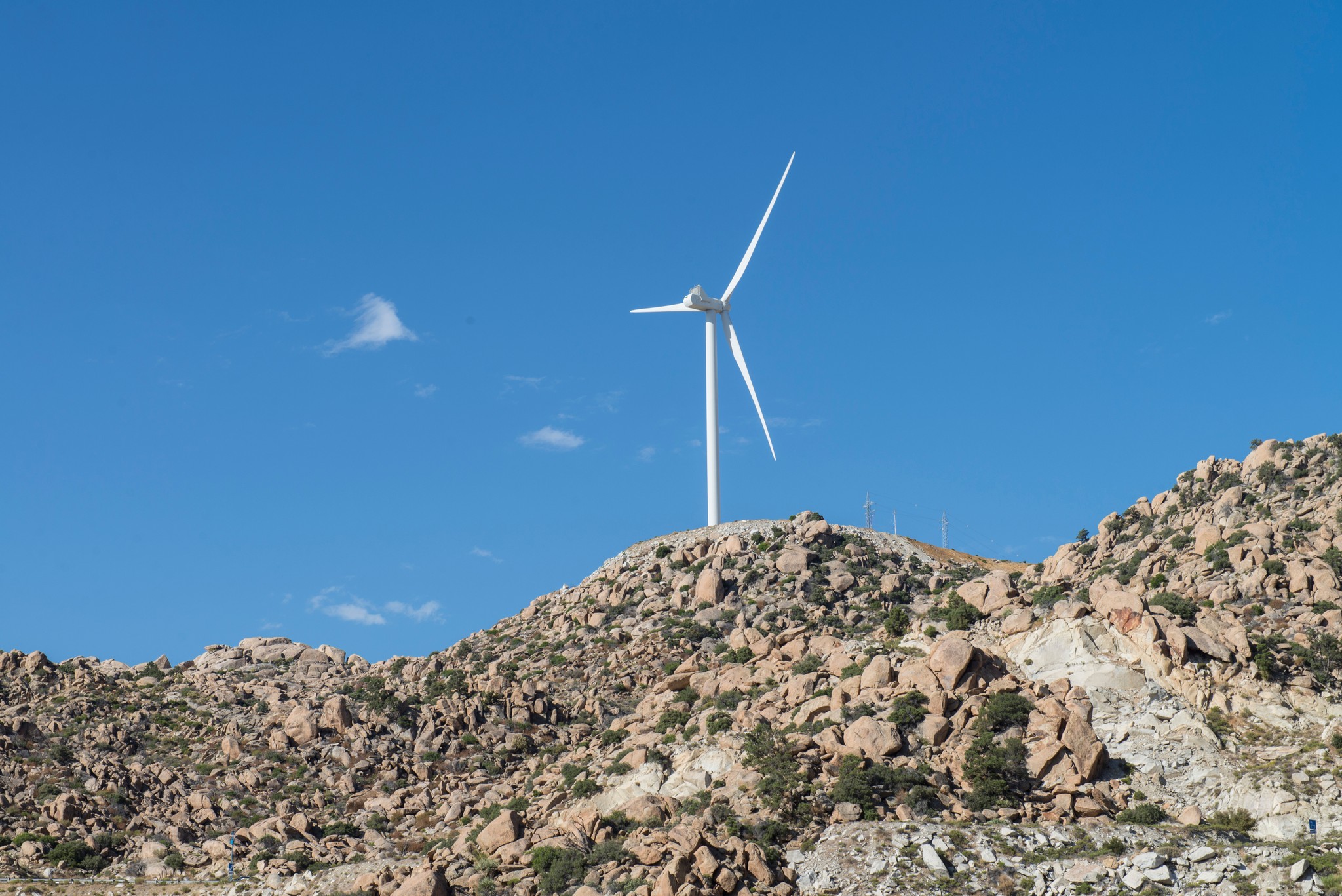 BloombergNEF Announces 12 Climate Innovators as Winners of its 2025 ...