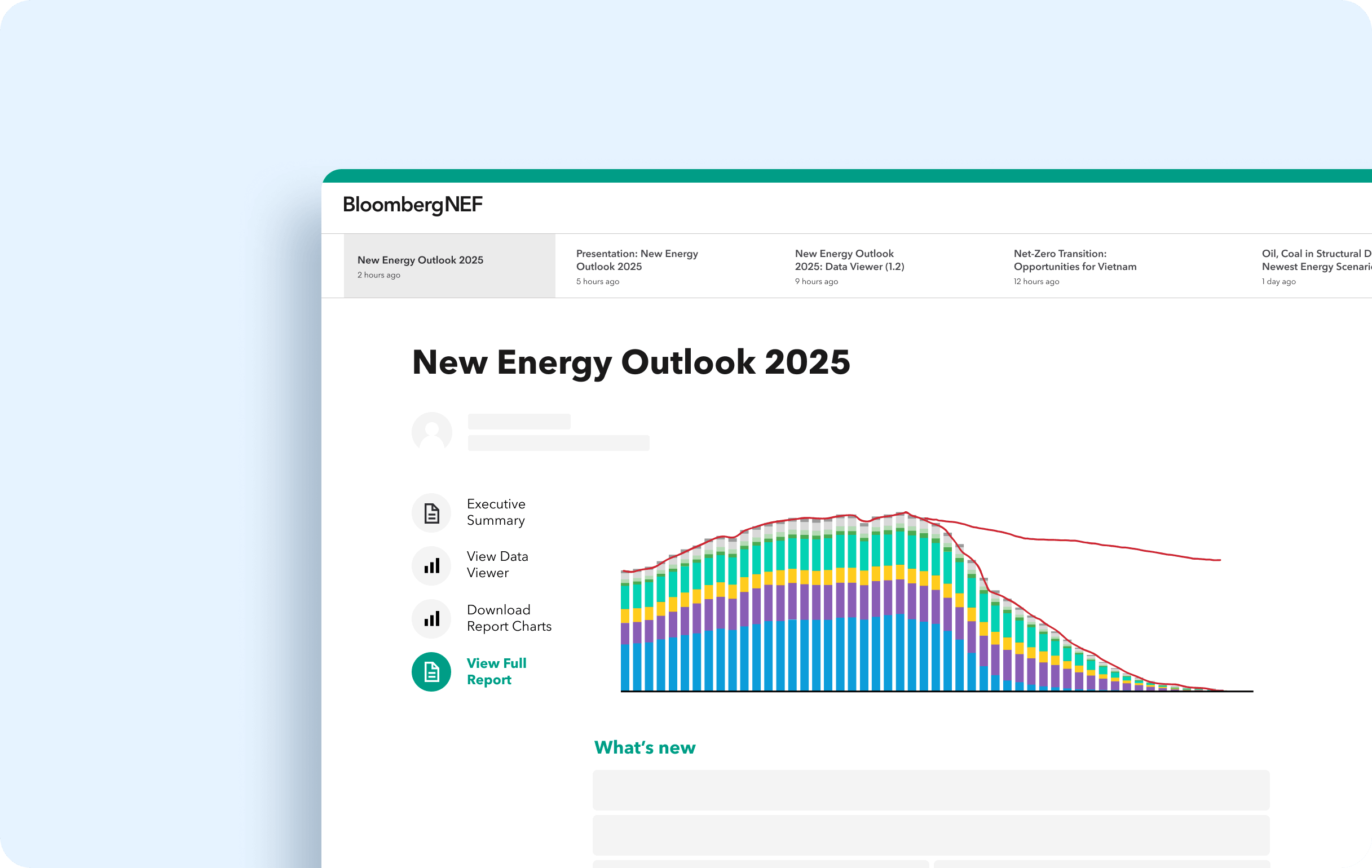What we do | BloombergNEF