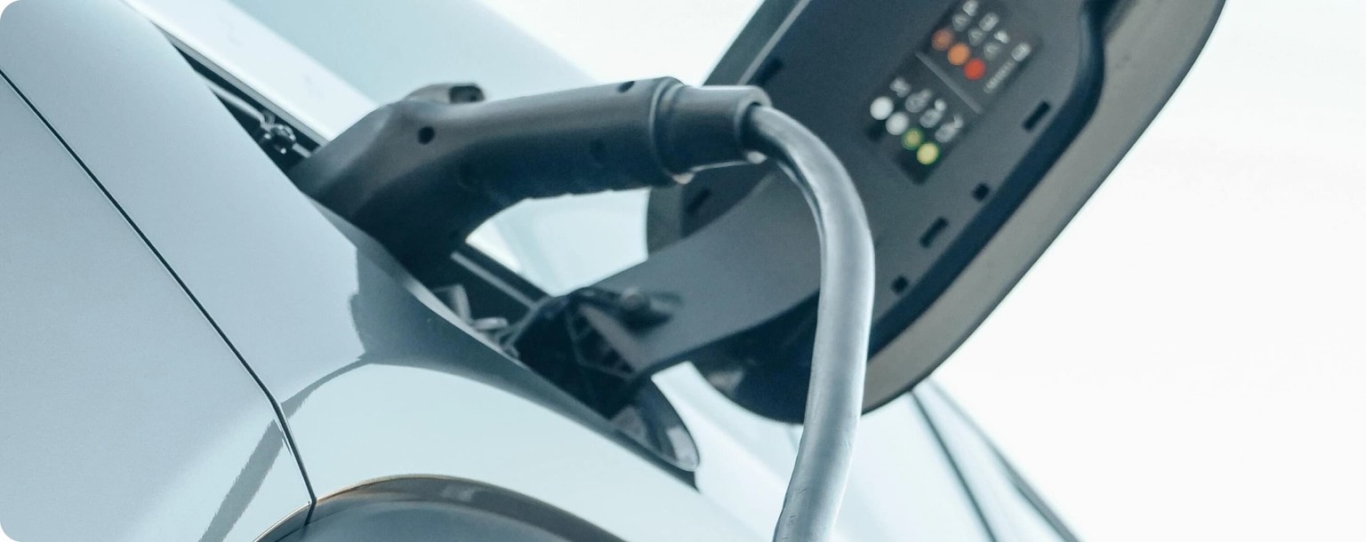 BloombergNEF Announces 12 Climate Innovators as Winners of its 2025 ...