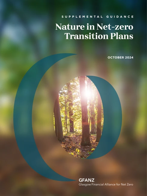Transition planning | Glasgow Financial Alliance for Net Zero