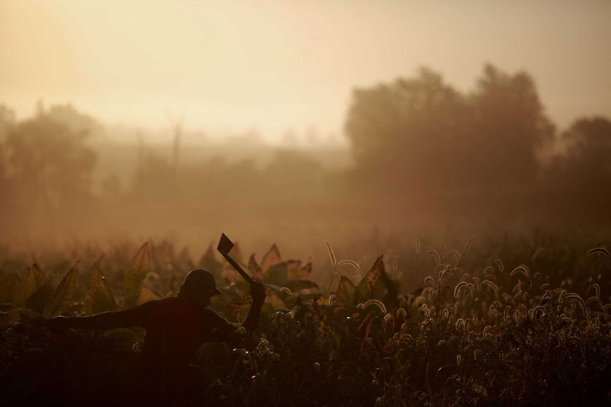 APAC's Picks: The Best of the Best Photos of 2014 | Bloomberg Media ...