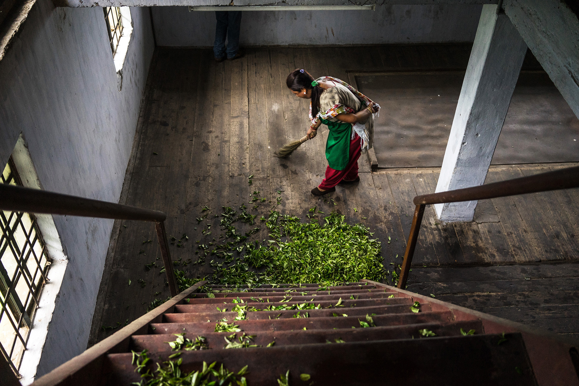 The Makaibari Tea Estate | Bloomberg Media Distribution