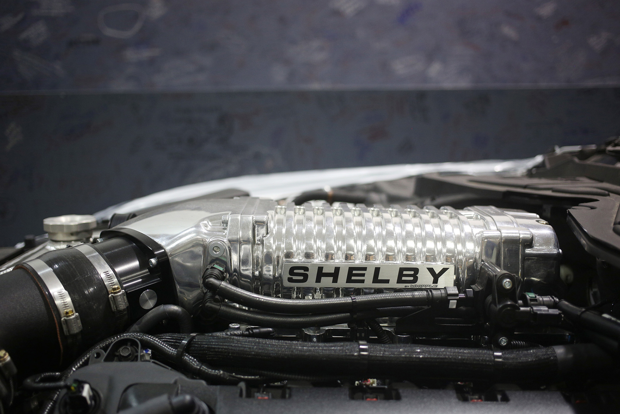 Flexing American Muscle | Bloomberg Media Distribution