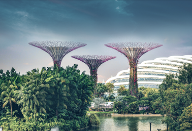 Bloomberg Media Group | Bloomberg Media