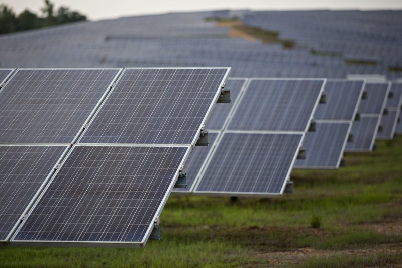 Bloomberg clean energy index leans on climate opportunity | Insights ...